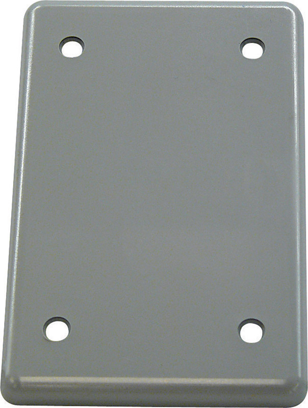 Cantex Rectangle PVC 1 gang Electrical Cover - PaintPlace New York Cantex Rectangle PVC 1 gang Electrical Cover - PaintPlace New York
